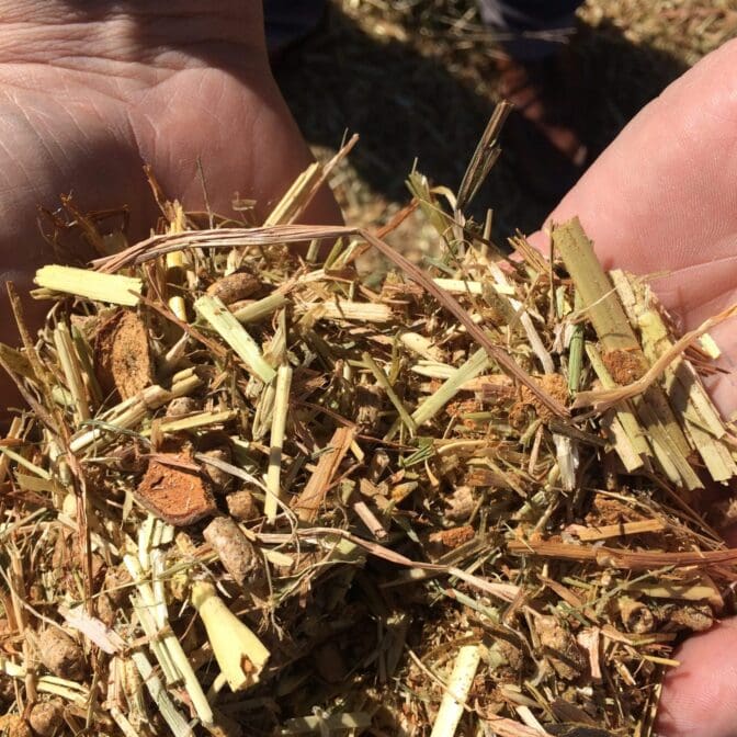 Bulk Ruminant Stockfeeds
